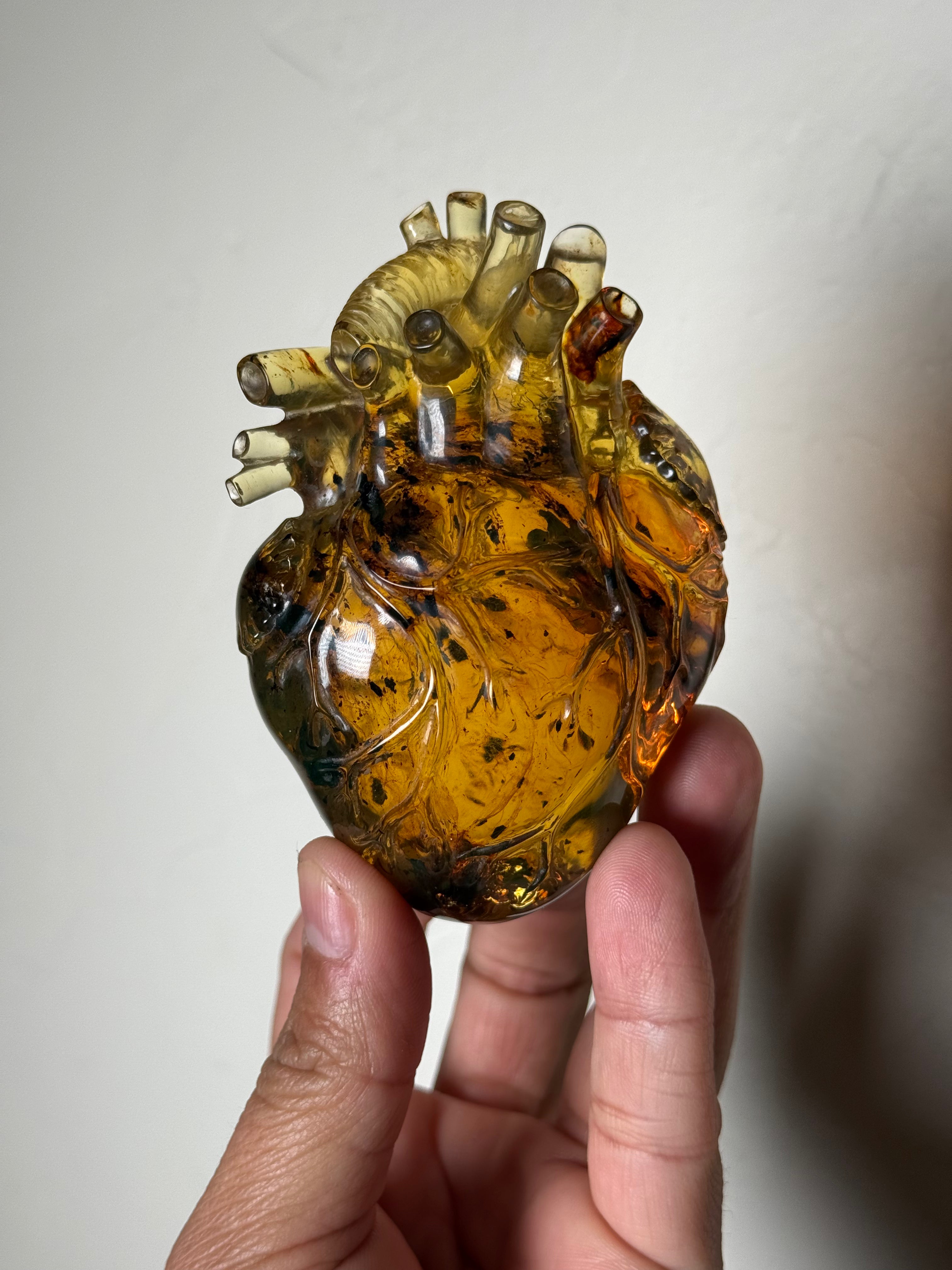 Amber Anatomical Heart (Chiapas, Mexico)